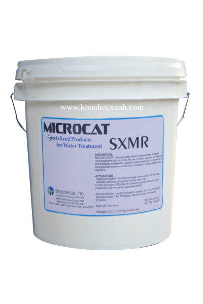 HOME | GREEN SCIENCE CO.,LTD